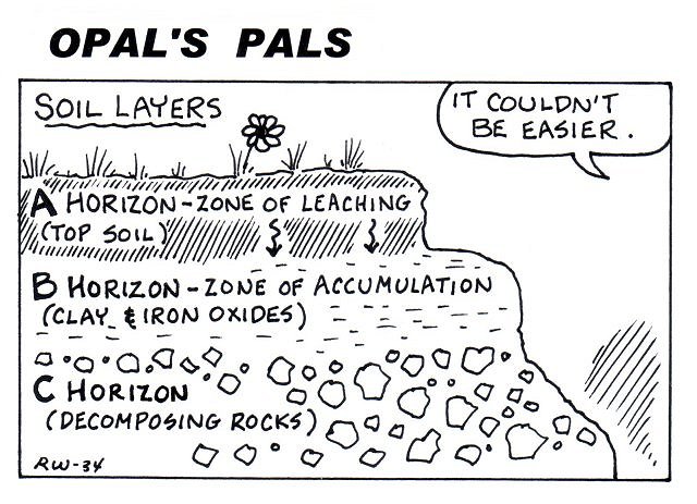 Opal's Pals - Weathering and Soils - Cochise College Geology